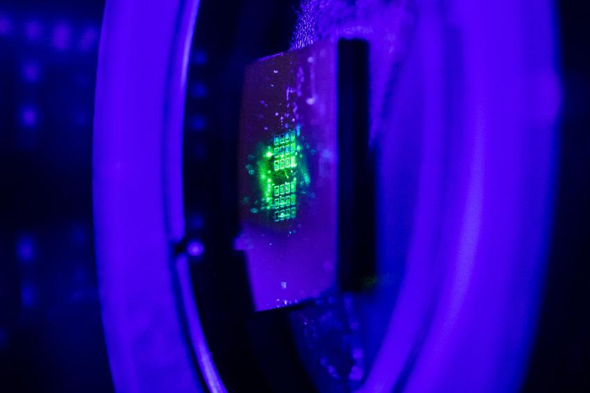 Metasurfaces generate complex quantum states | wileyindustrynews.com Metasurfaces generate complex quantum states | wileyindustrynews.com